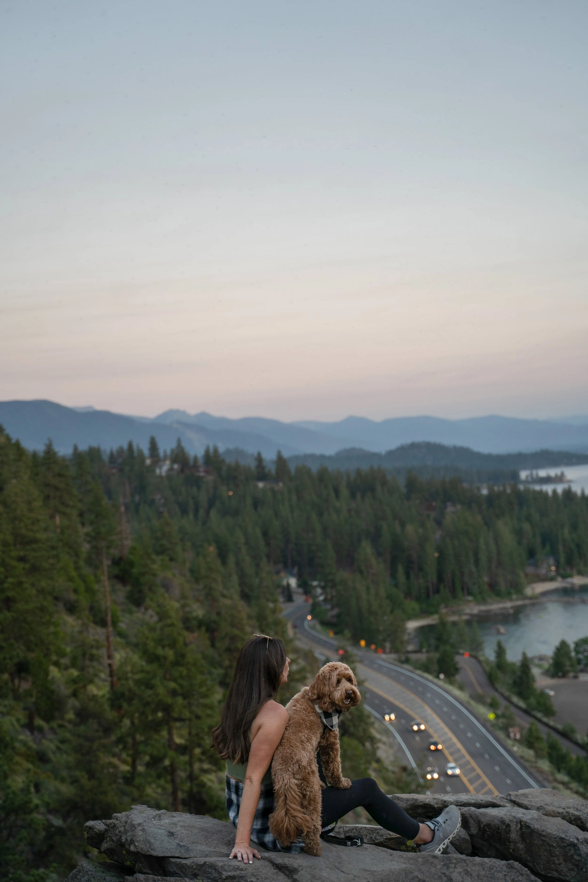 The Ultimate Dog Friendly Guide To Lake Tahoe In The Summer