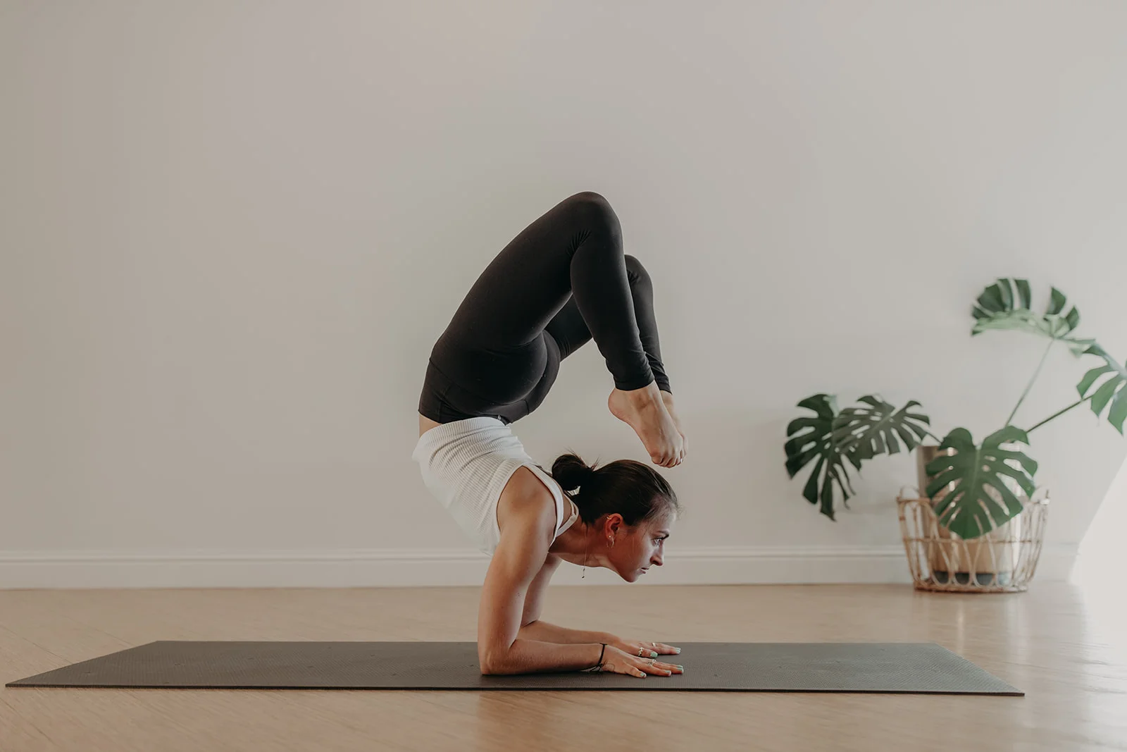 Trainings — SHINE YOGA STUDIOS