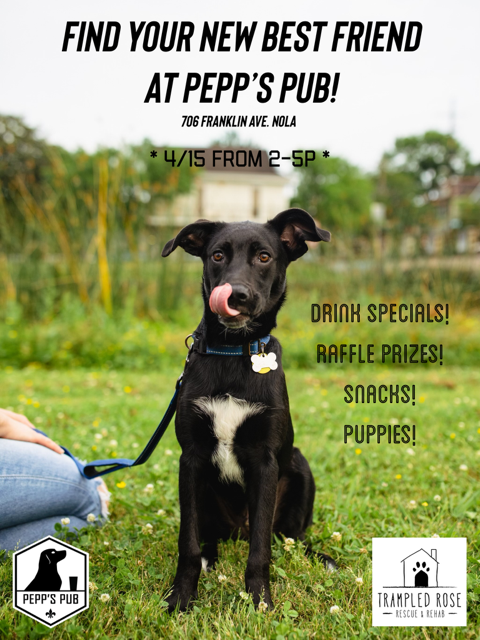 Events — Trampled Rose Rescue & Rehab