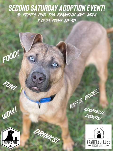 Events — Trampled Rose Rescue & Rehab