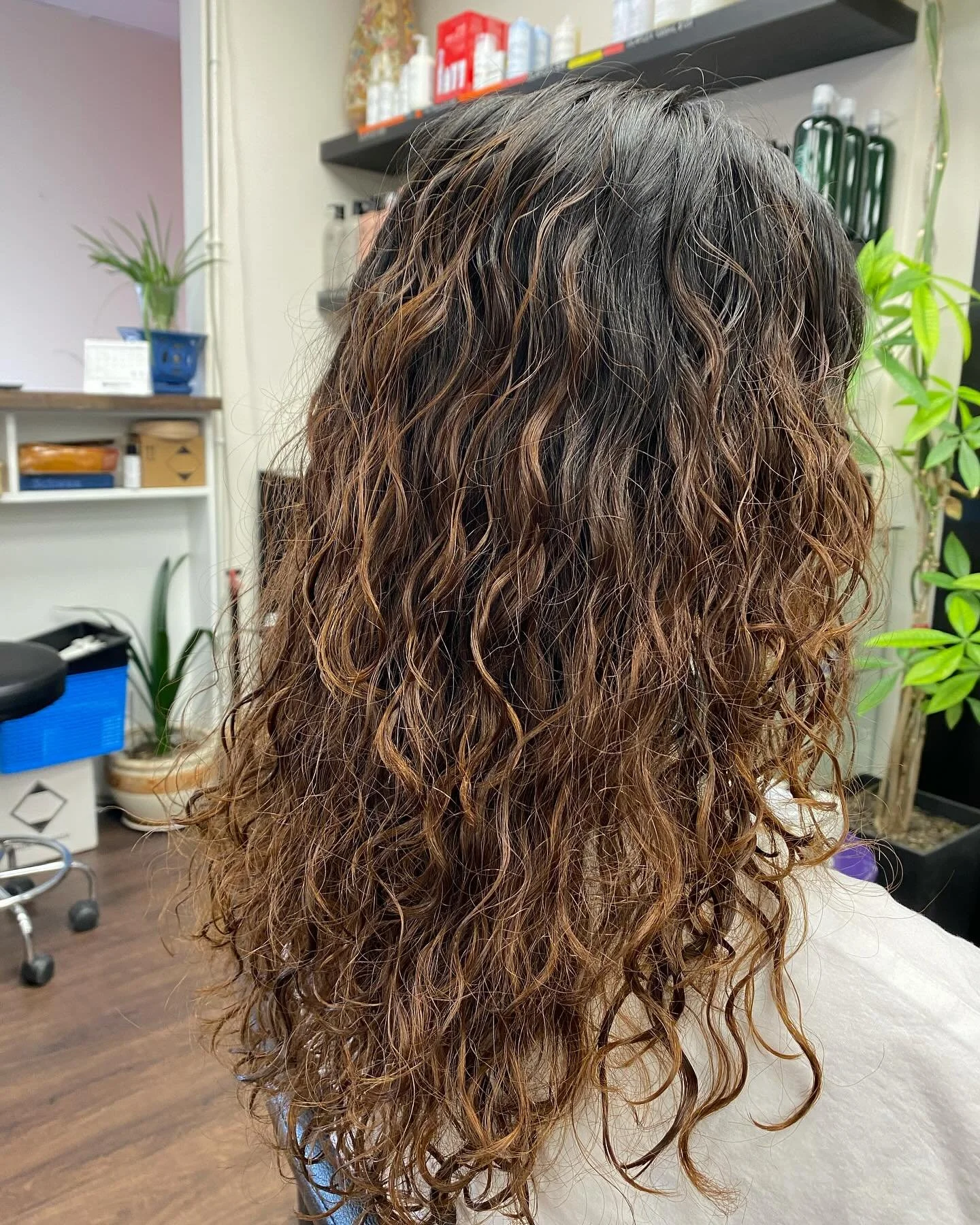 Portfolio — Purple Jade | Best Top Hair Salon in Calgary