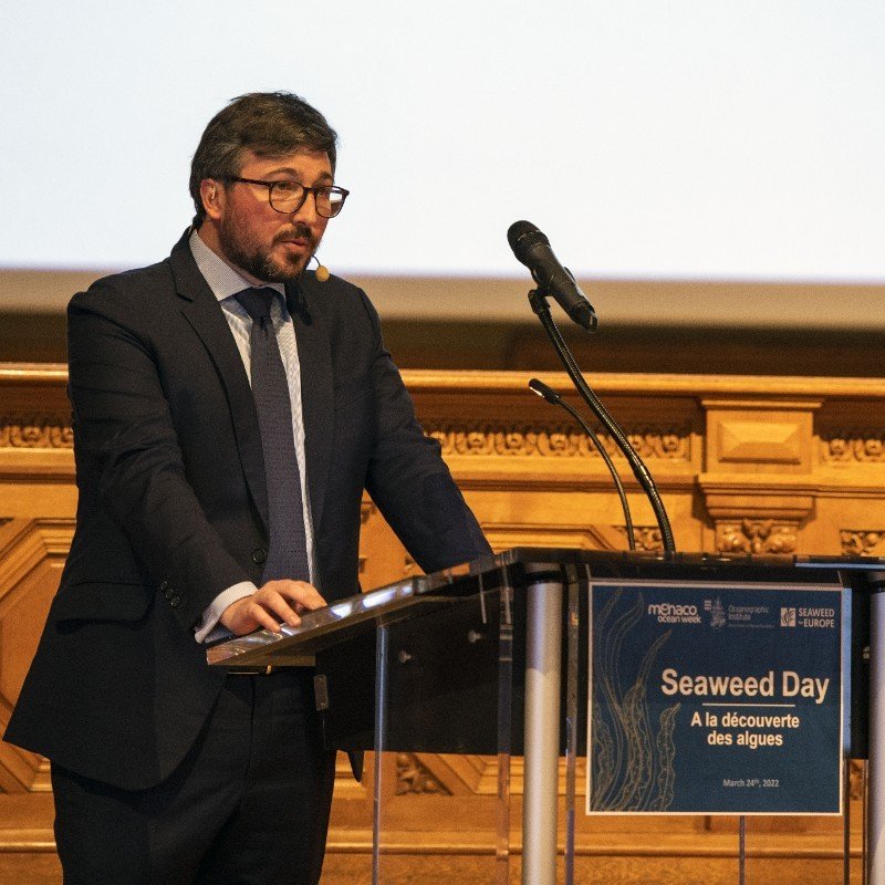 Participants — Waves of Change