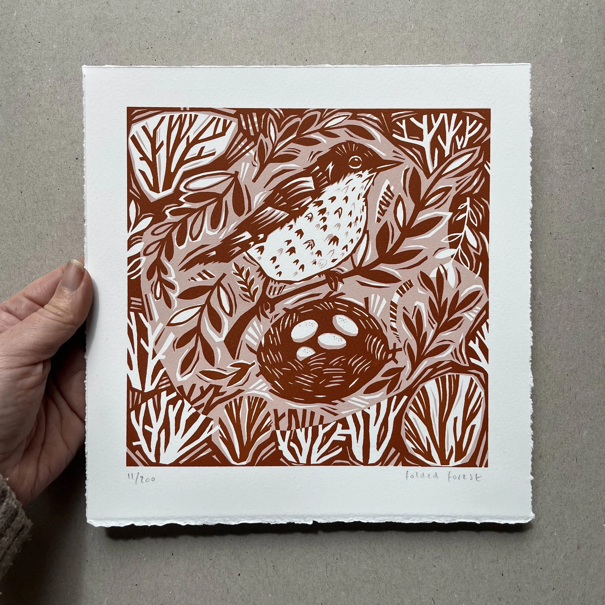 Folded Forest - Limited Edition Prints & Textiles