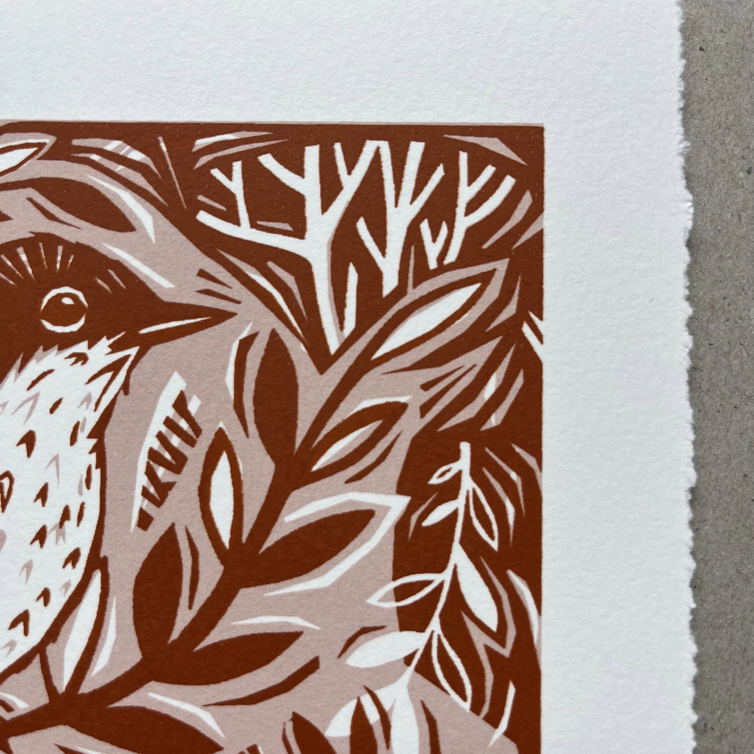 Folded Forest - Limited Edition Prints & Textiles