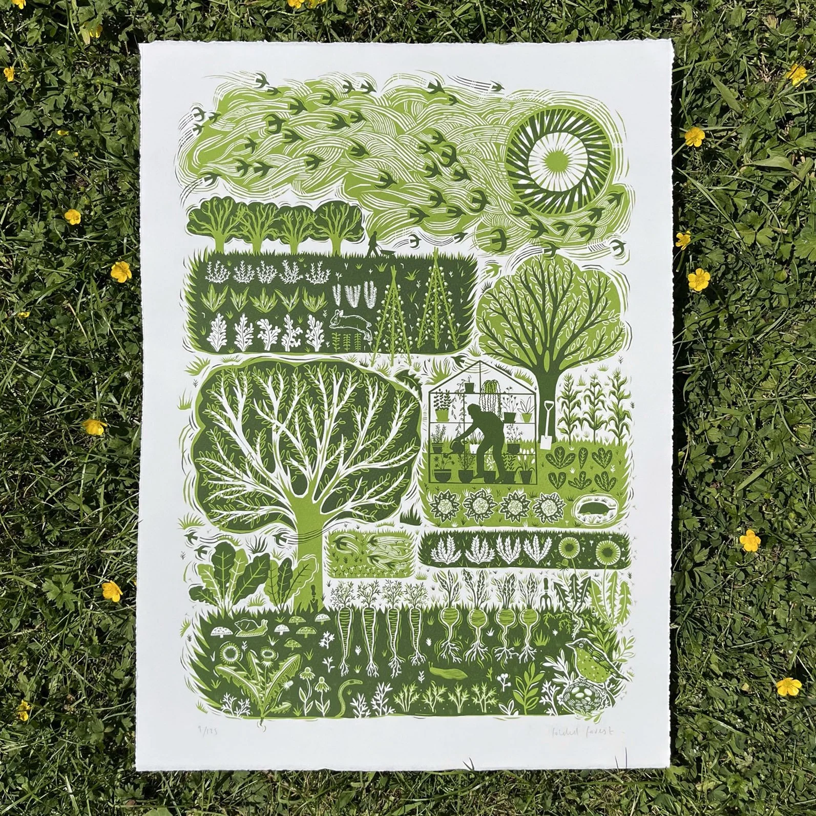 Folded Forest - Limited Edition Prints & Textiles