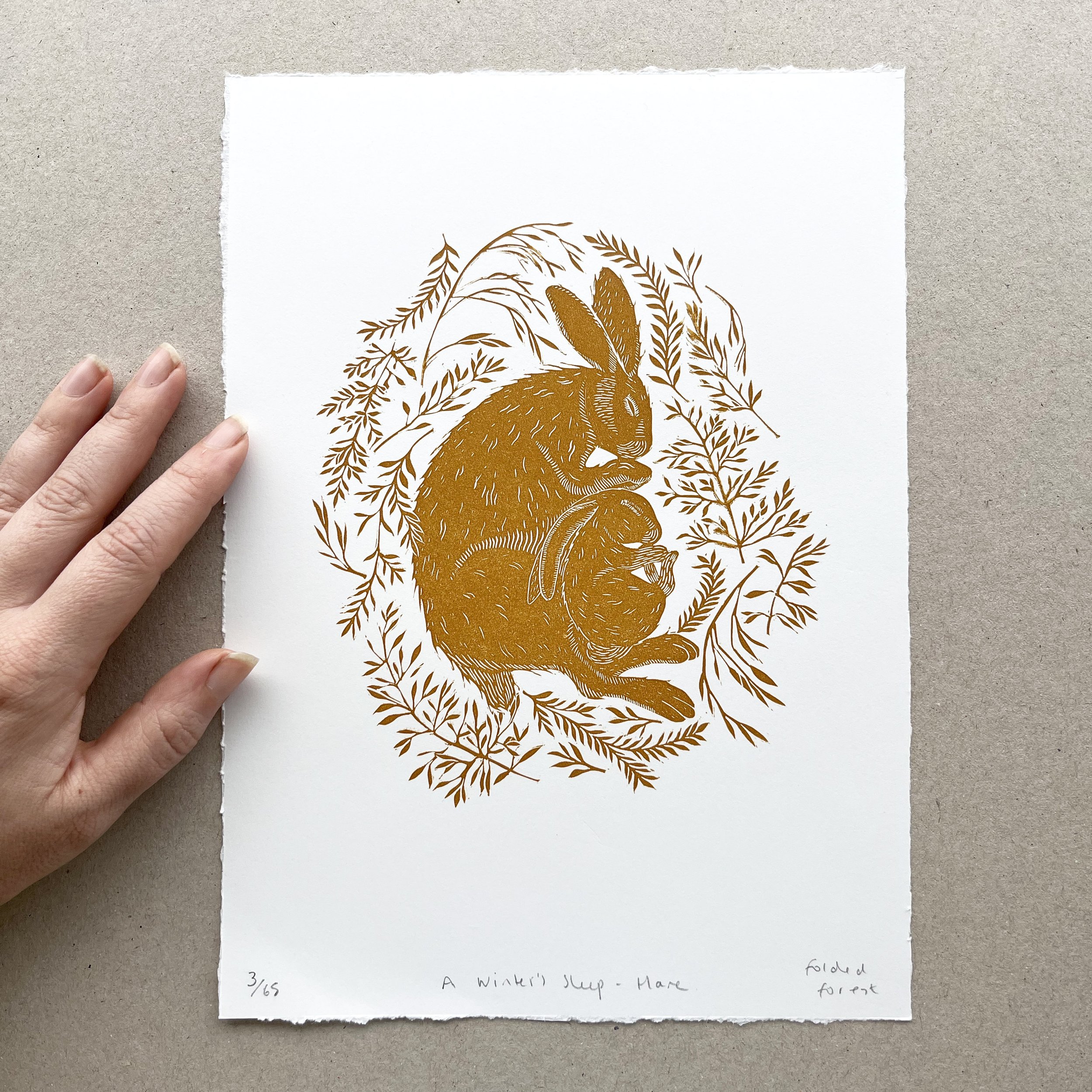 Folded Forest - Limited Edition Prints & Textiles