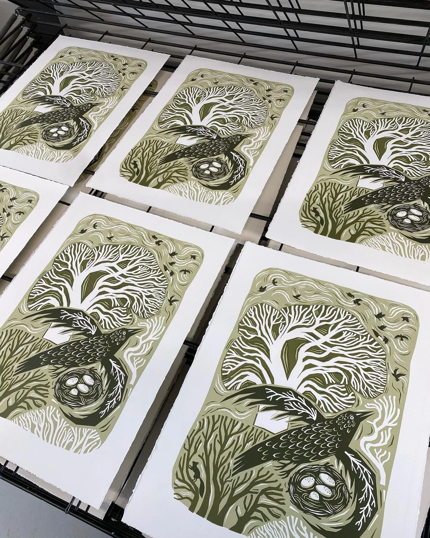 About — Folded Forest - Limited Edition Prints and Textiles