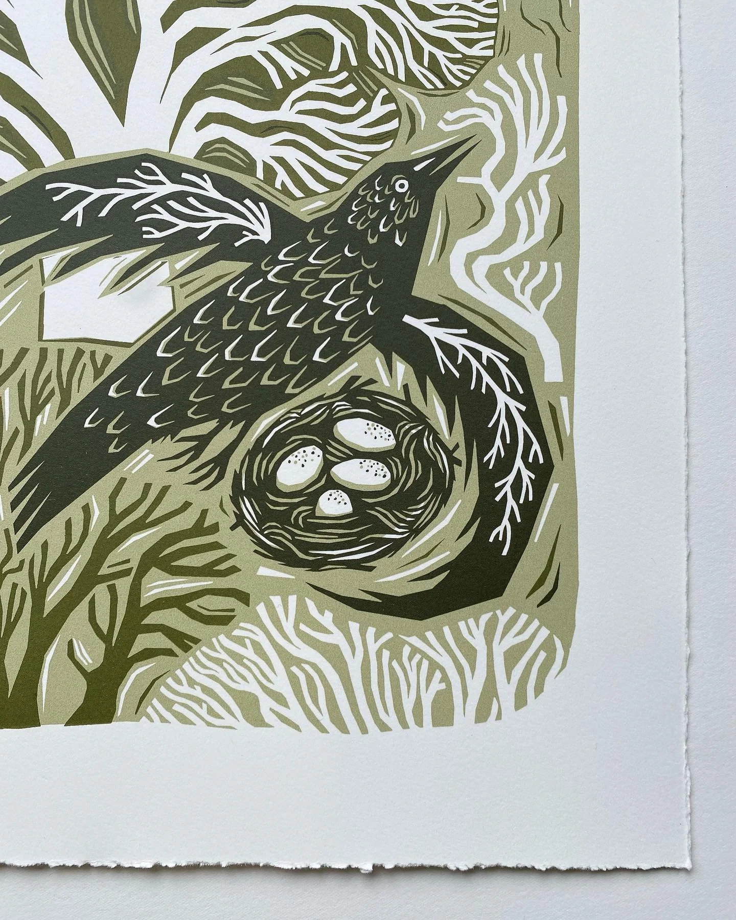 About — Folded Forest - Limited Edition Prints and Textiles