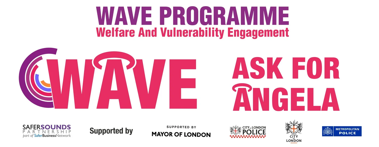 WAVE Training — Safer Sounds Partnership