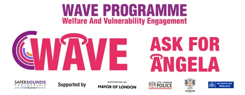 WAVE Training — Safer Sounds Partnership