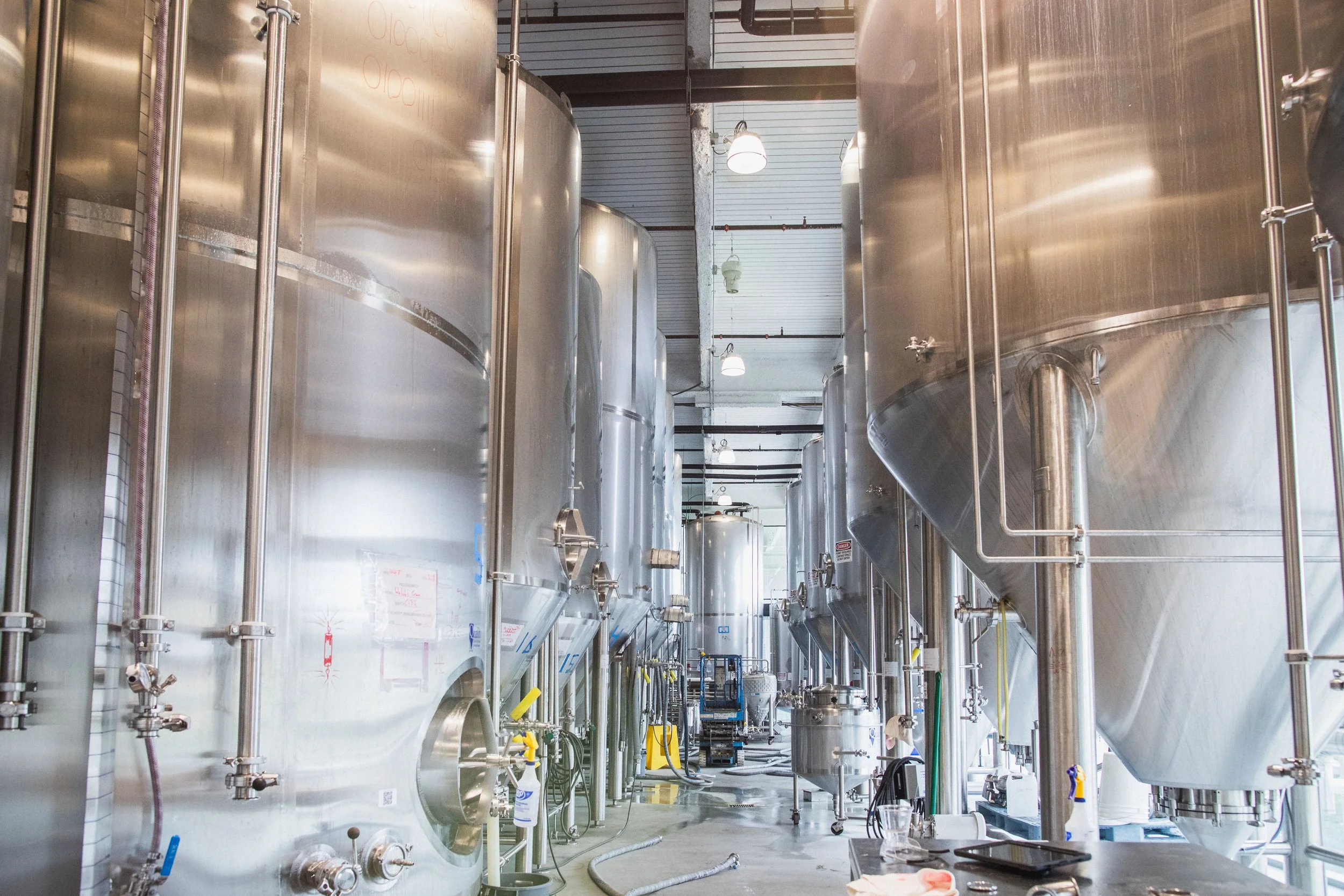 Pilot Project Brewing