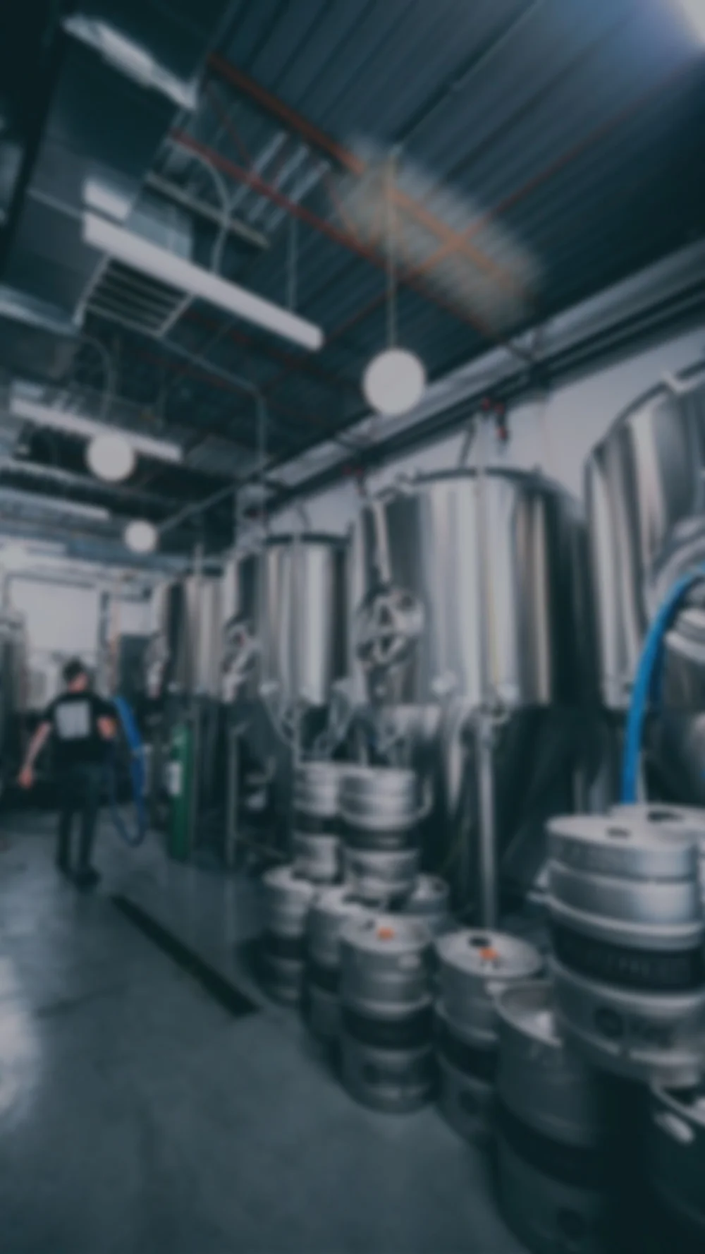 Pilot Project Brewing