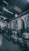Pilot Project Brewing