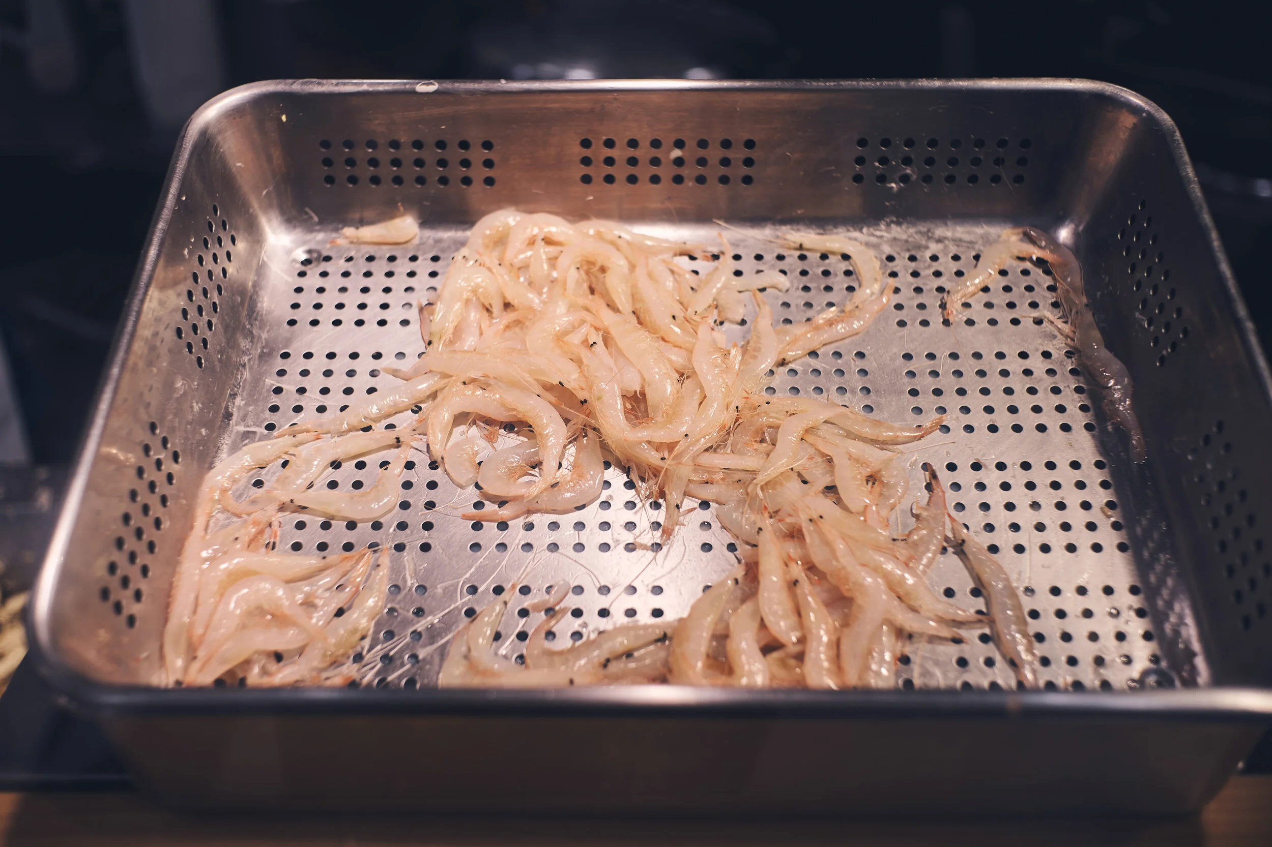 Shiroebitei - Famous White Shrimp of Toyama Bay — SHIRO ANG