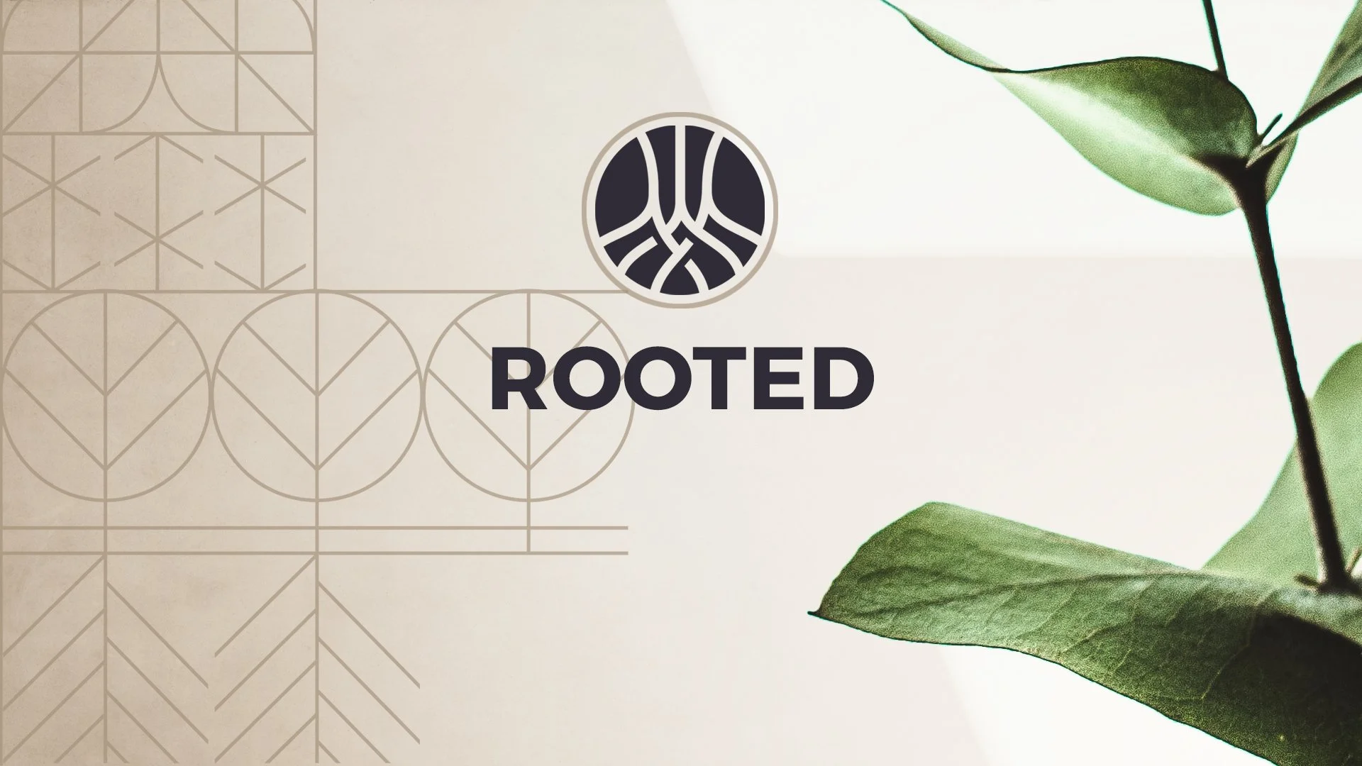 Events — Grace Bible Church