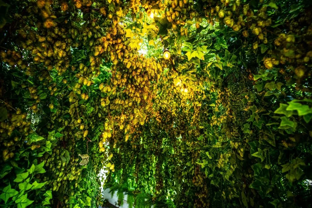 Ceiling Draping Rental — Funky Event Hire