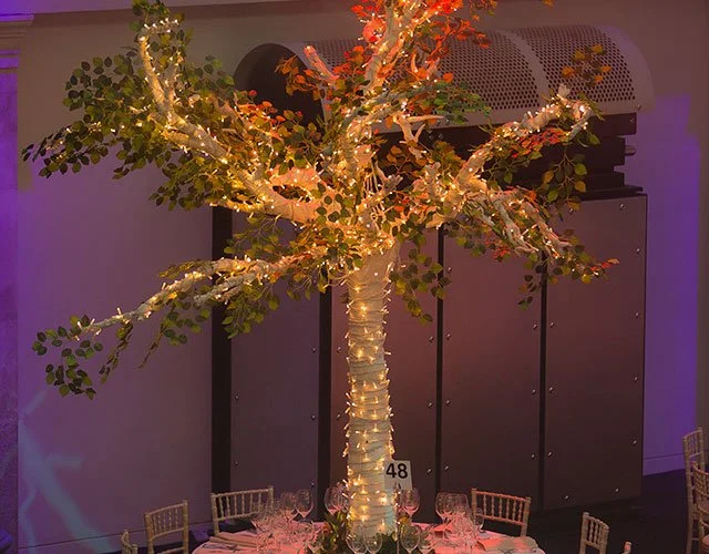 Fairy Lit Trees — Funky Event Hire
