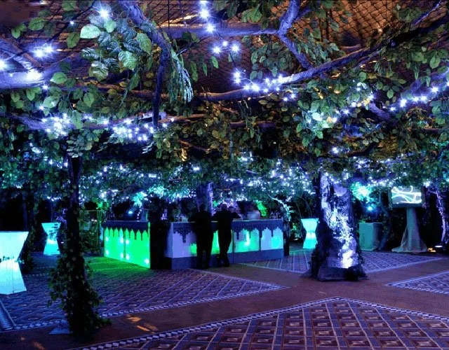 Foliage Ceiling Draping — Funky Event Hire