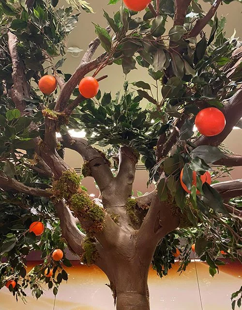 Orange Trees — Funky Event Hire