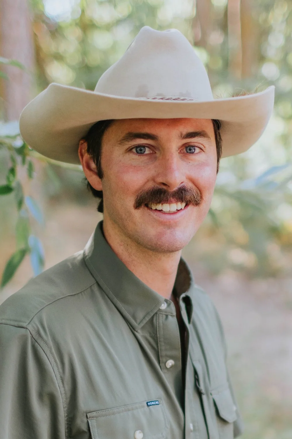 About Us — Springwater Insurance Group