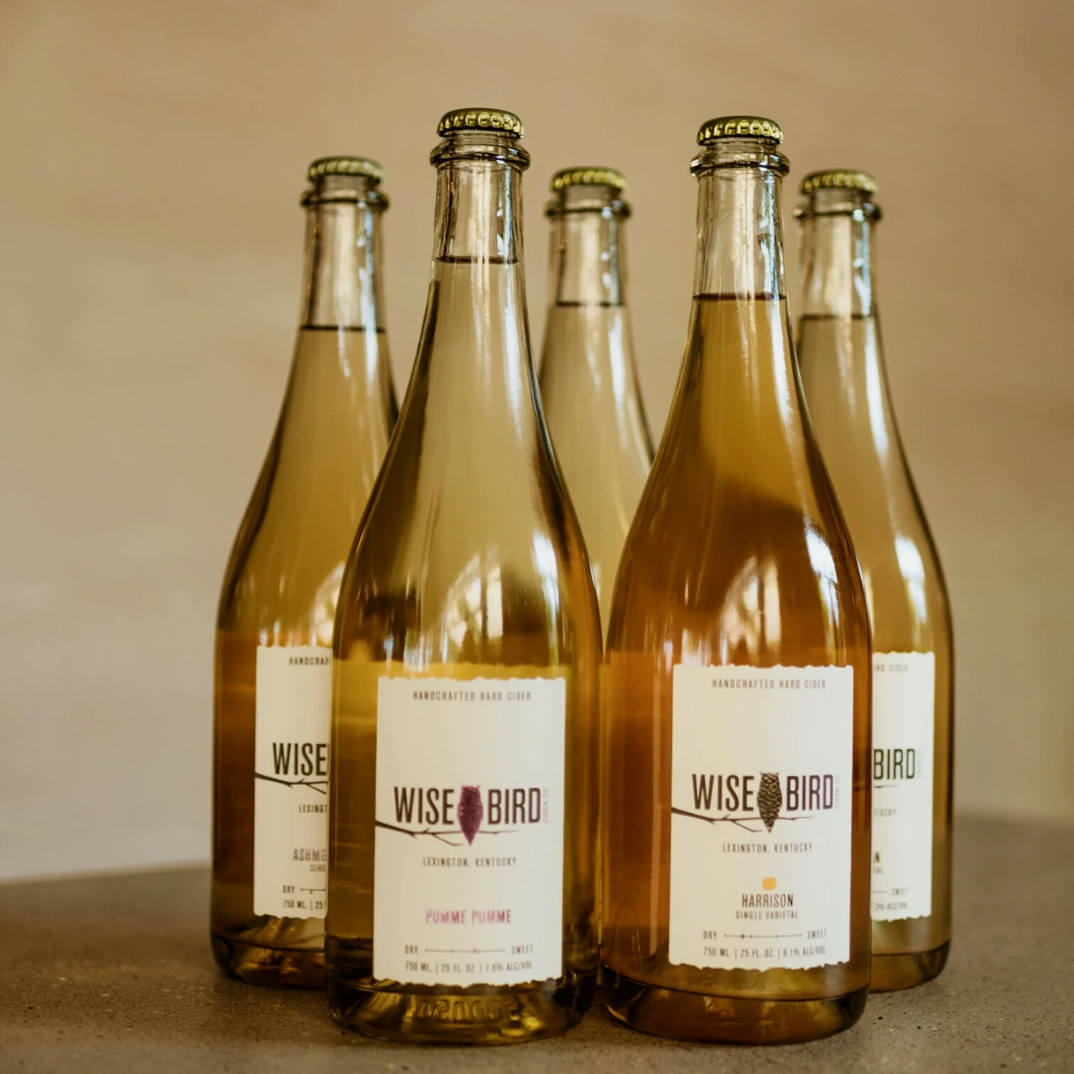 Cider Club — Wise Bird Cider Co.