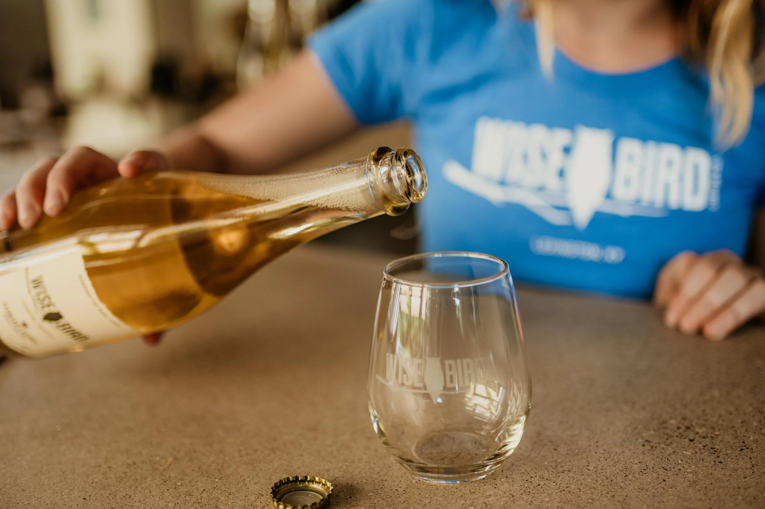 Our Ciders — Wise Bird Cider Co.