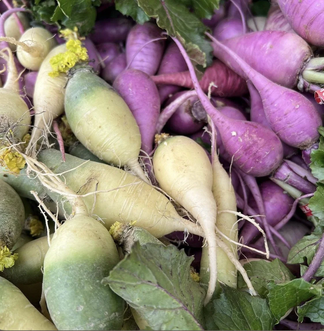 THE FARMERS' MARKET — Marin Country Mart