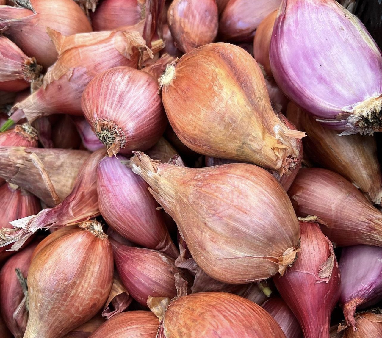 THE FARMERS' MARKET — Marin Country Mart