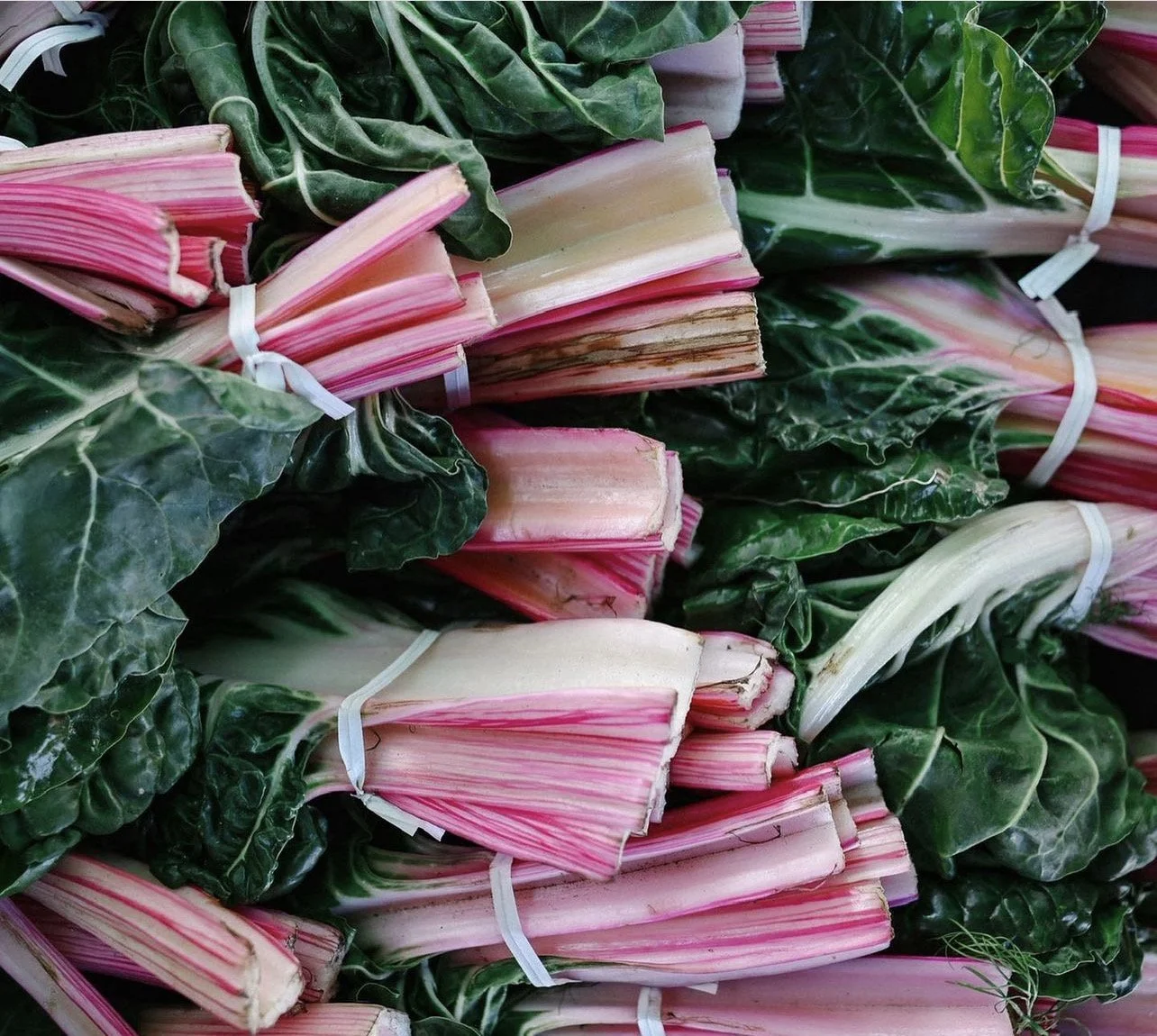 THE FARMERS' MARKET — Marin Country Mart