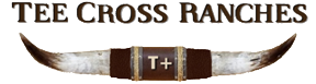 Tee Cross Ranches | Pueblo, CO AQHA Registered Sale Horses, Breeding ...