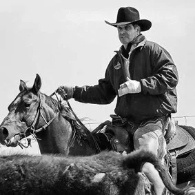 Tee Cross Ranches | Pueblo, CO AQHA Registered Sale Horses, Breeding ...