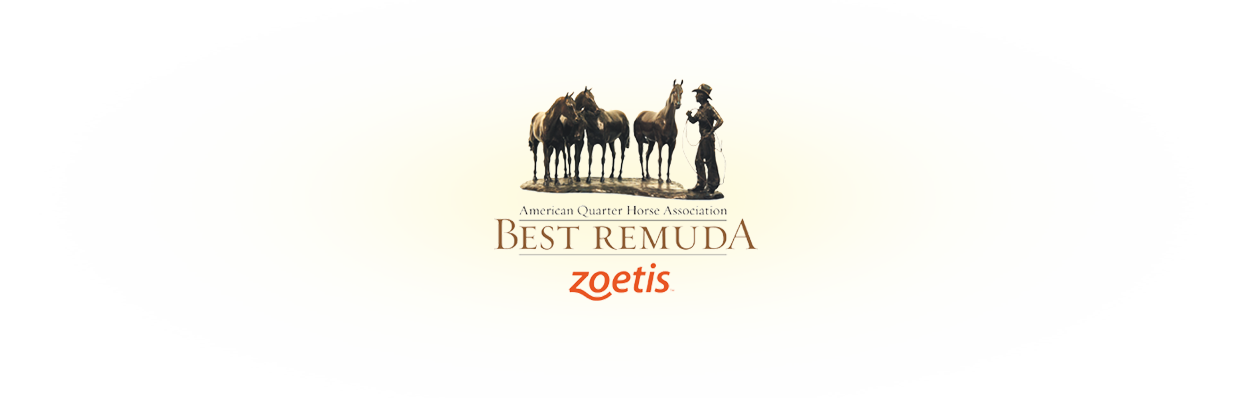 Tee Cross Ranches | Pueblo, CO AQHA Registered Sale Horses, Breeding ...