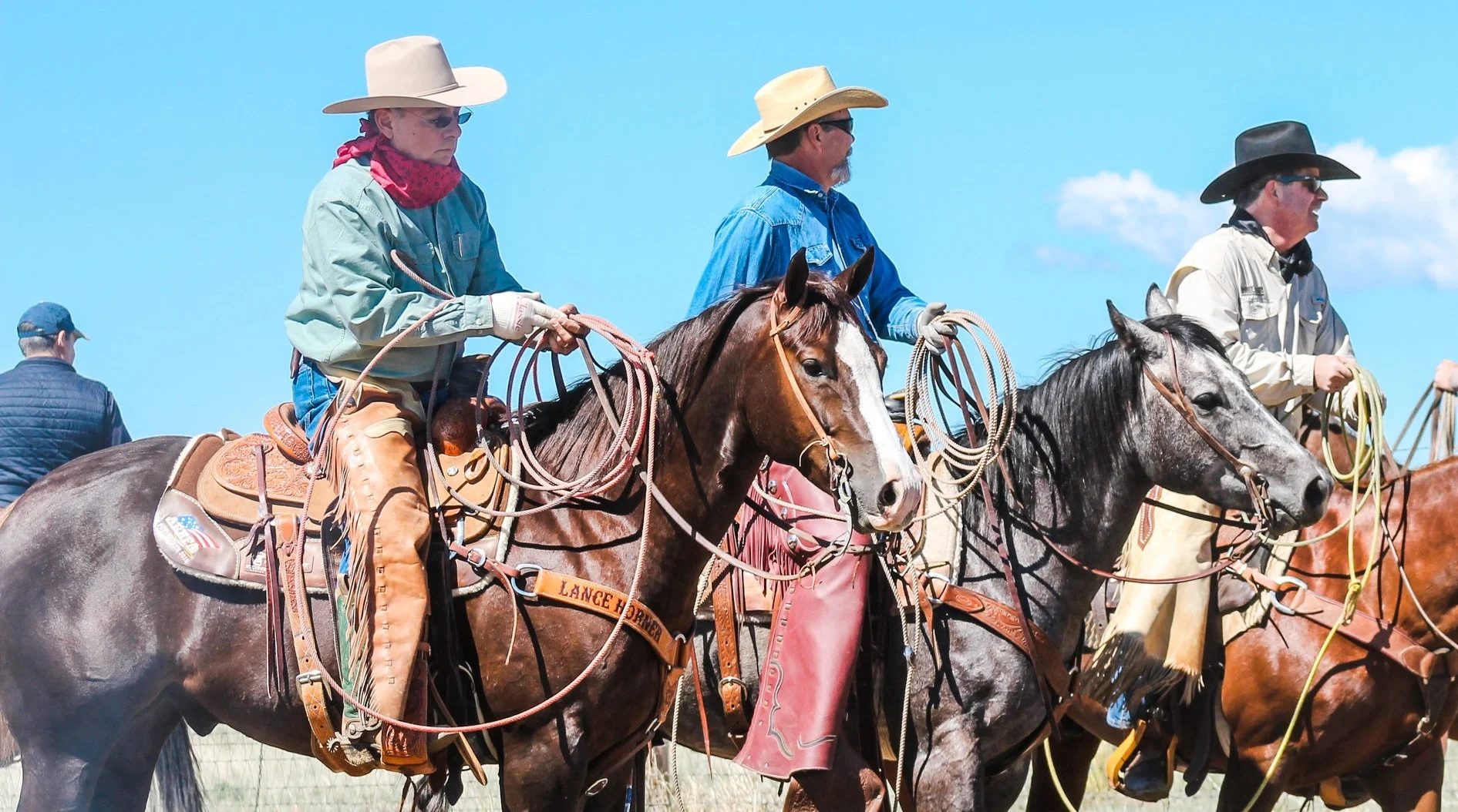 Tee Cross Ranches | Pueblo, CO AQHA Registered Sale Horses, Breeding ...