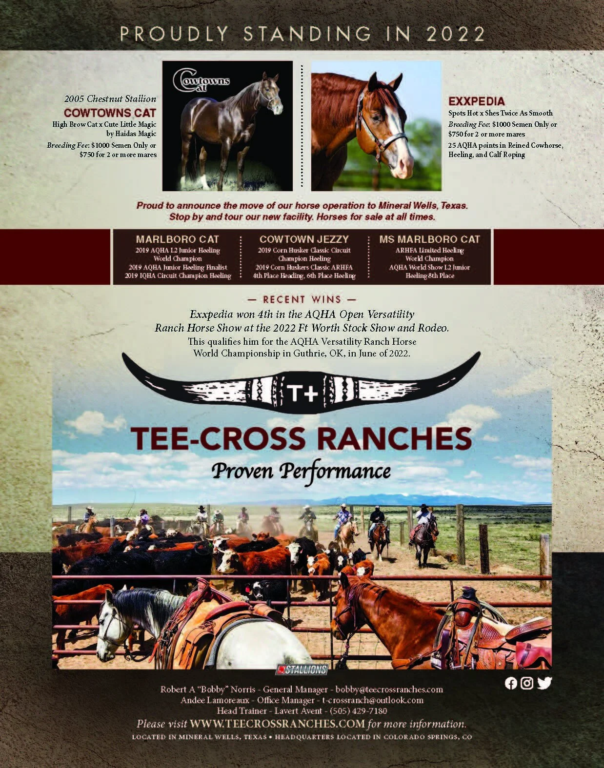 Tee Cross Ranches | Pueblo, CO AQHA Registered Sale Horses, Breeding ...