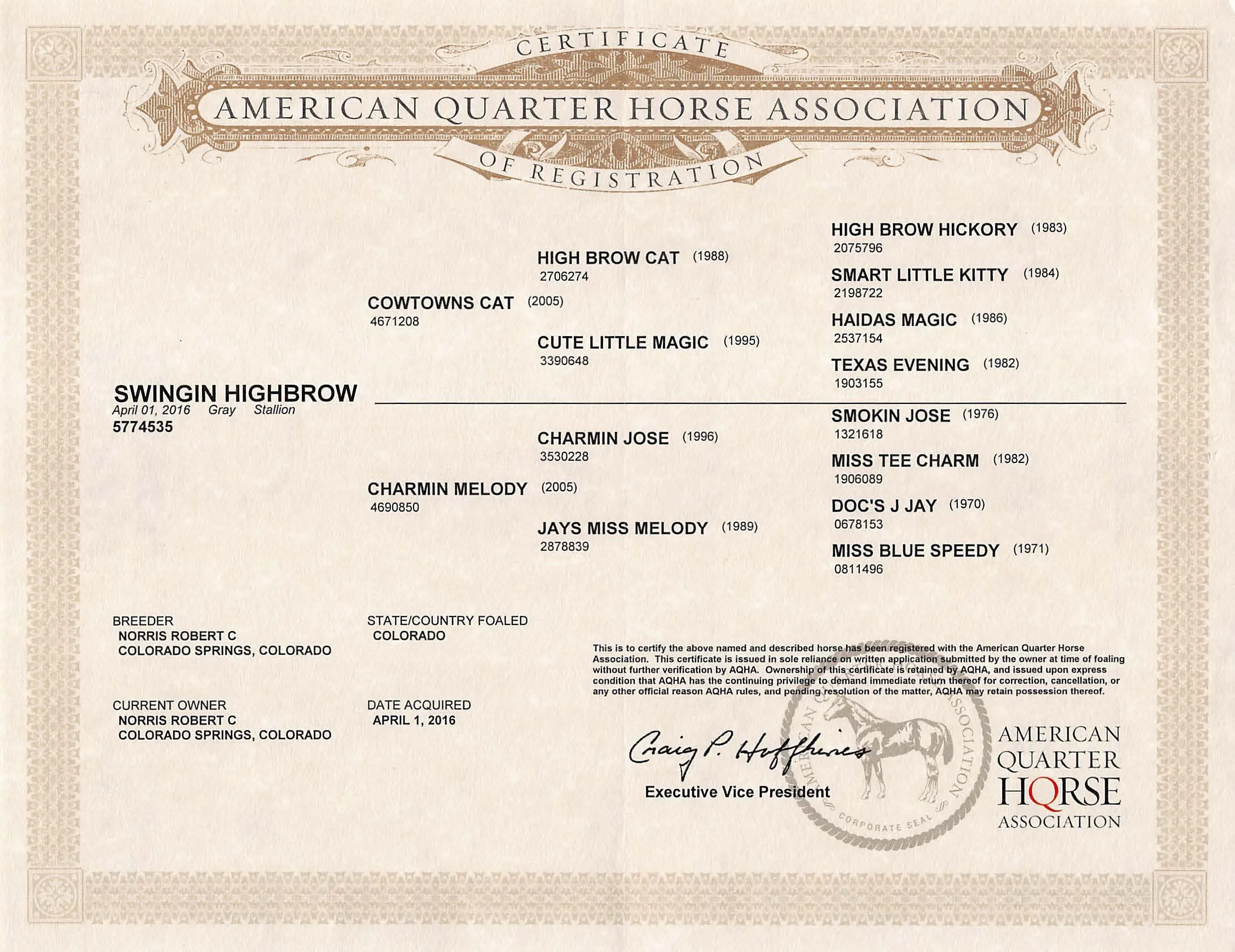 Sale Horses | Tee Cross Ranches