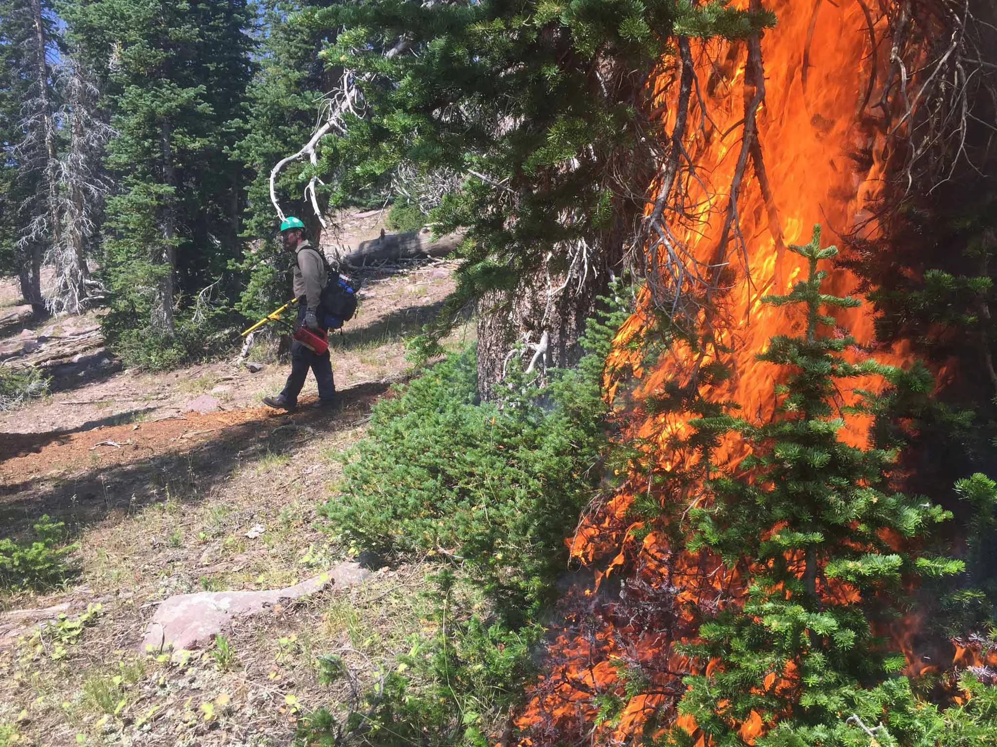 Wildland Fire Module — Platte Canyon Fire