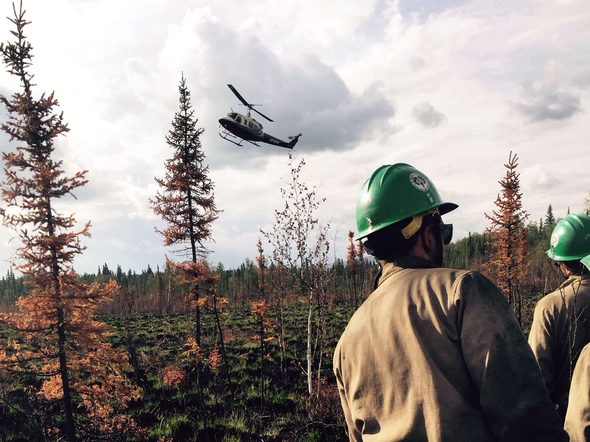 Wildland Fire Module — Platte Canyon Fire