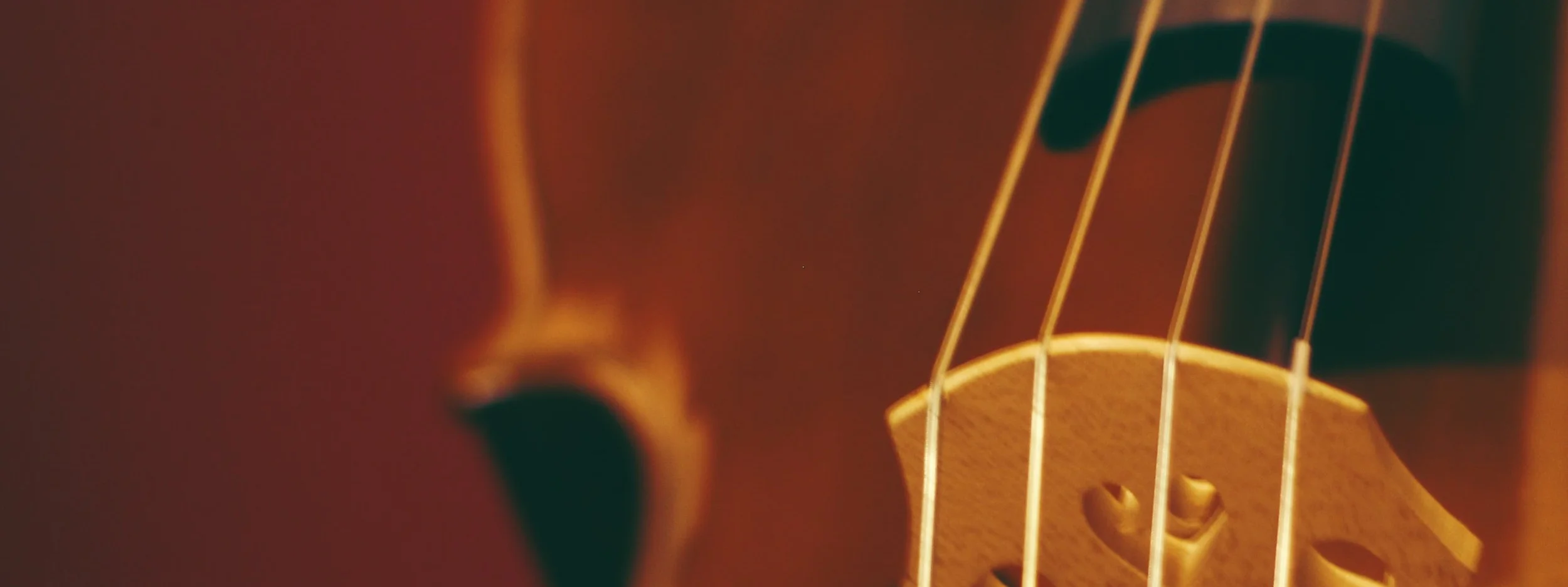 Strings Lessons — Arkansas Music Conservatory