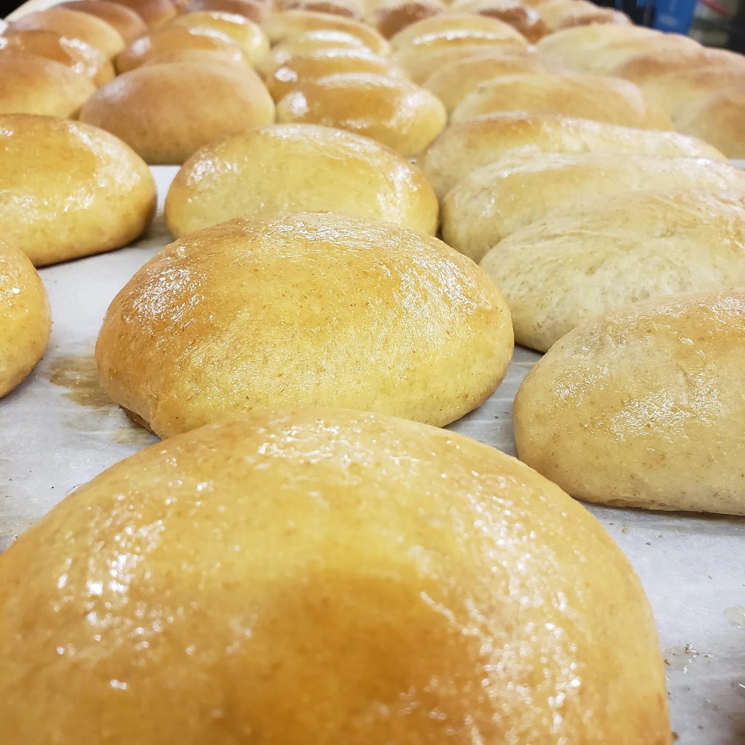 Our Bread — Uprising Bread Company