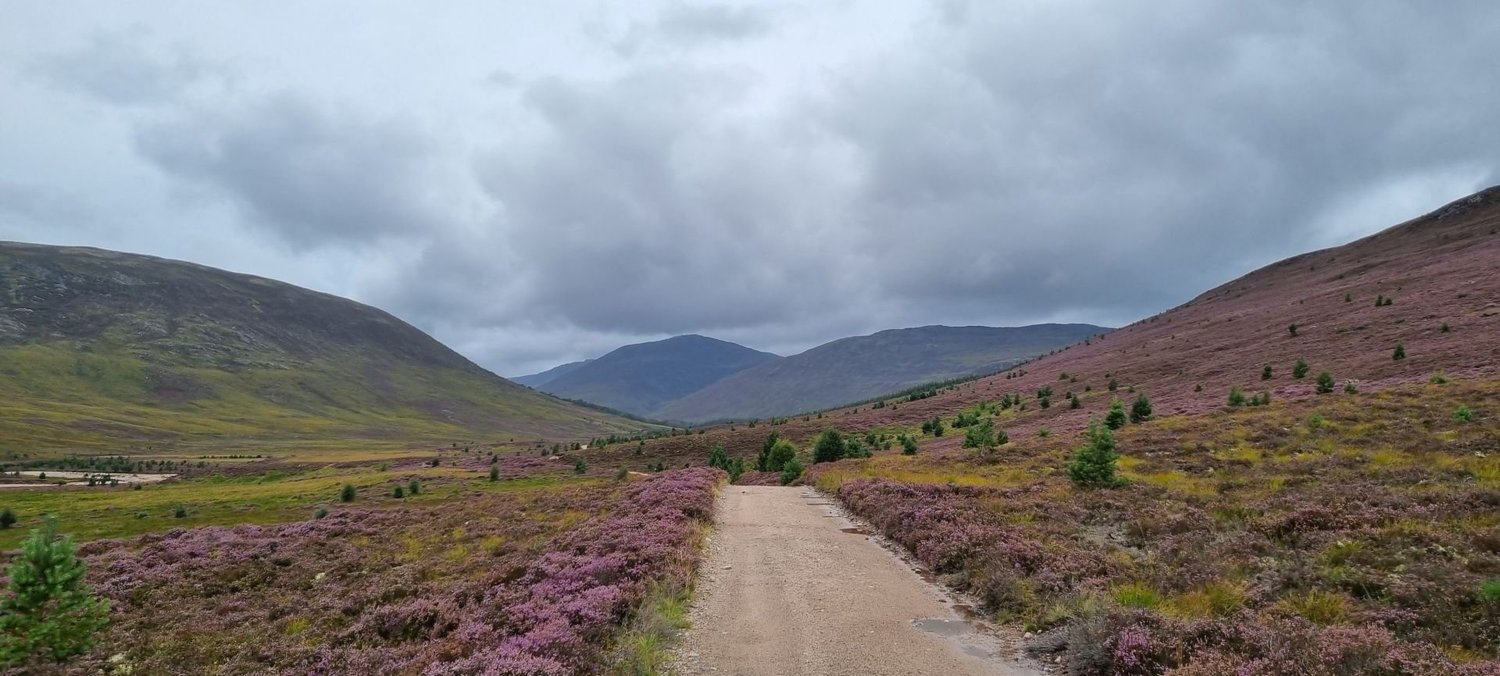 Cairngorm Munros | Guided Walks | AP Mountaineering