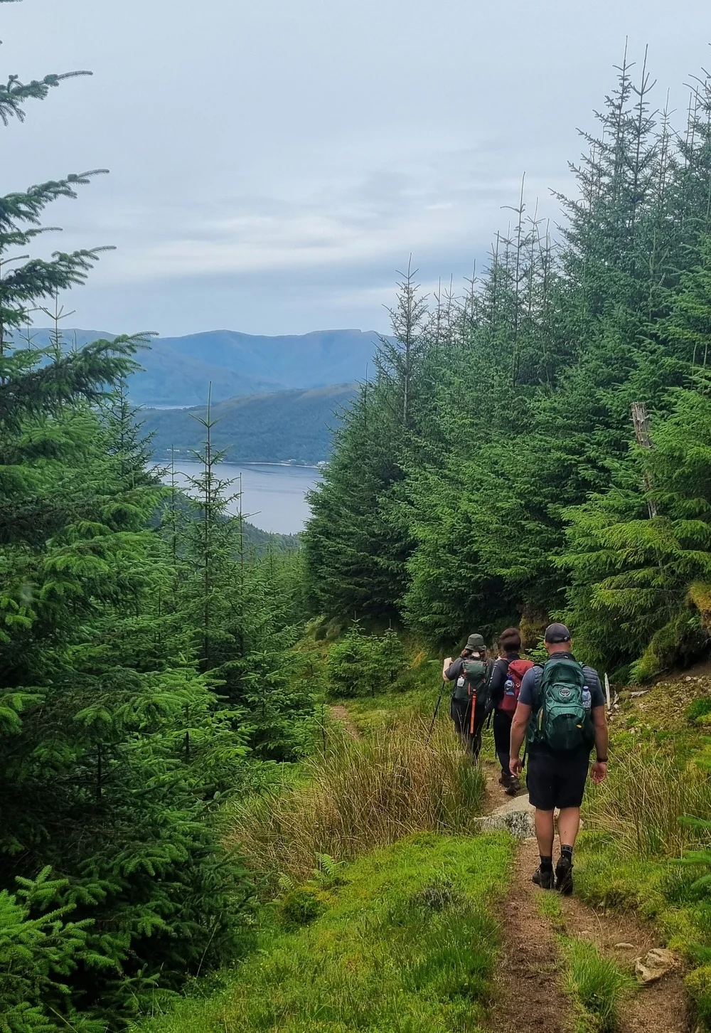 Wondering what to do in Glencoe? — AP Mountaineering