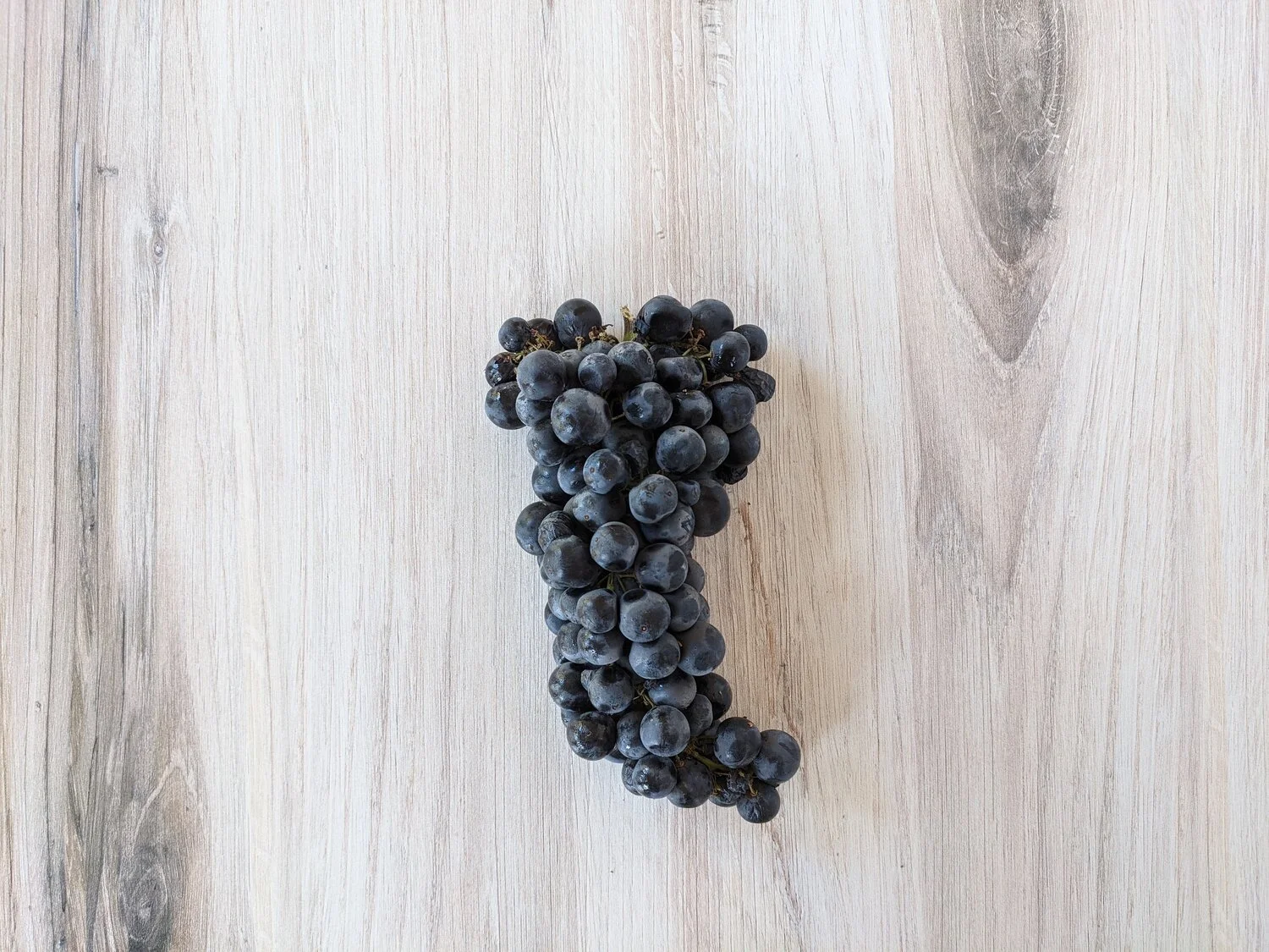 Shop — Wine Grapes Direct