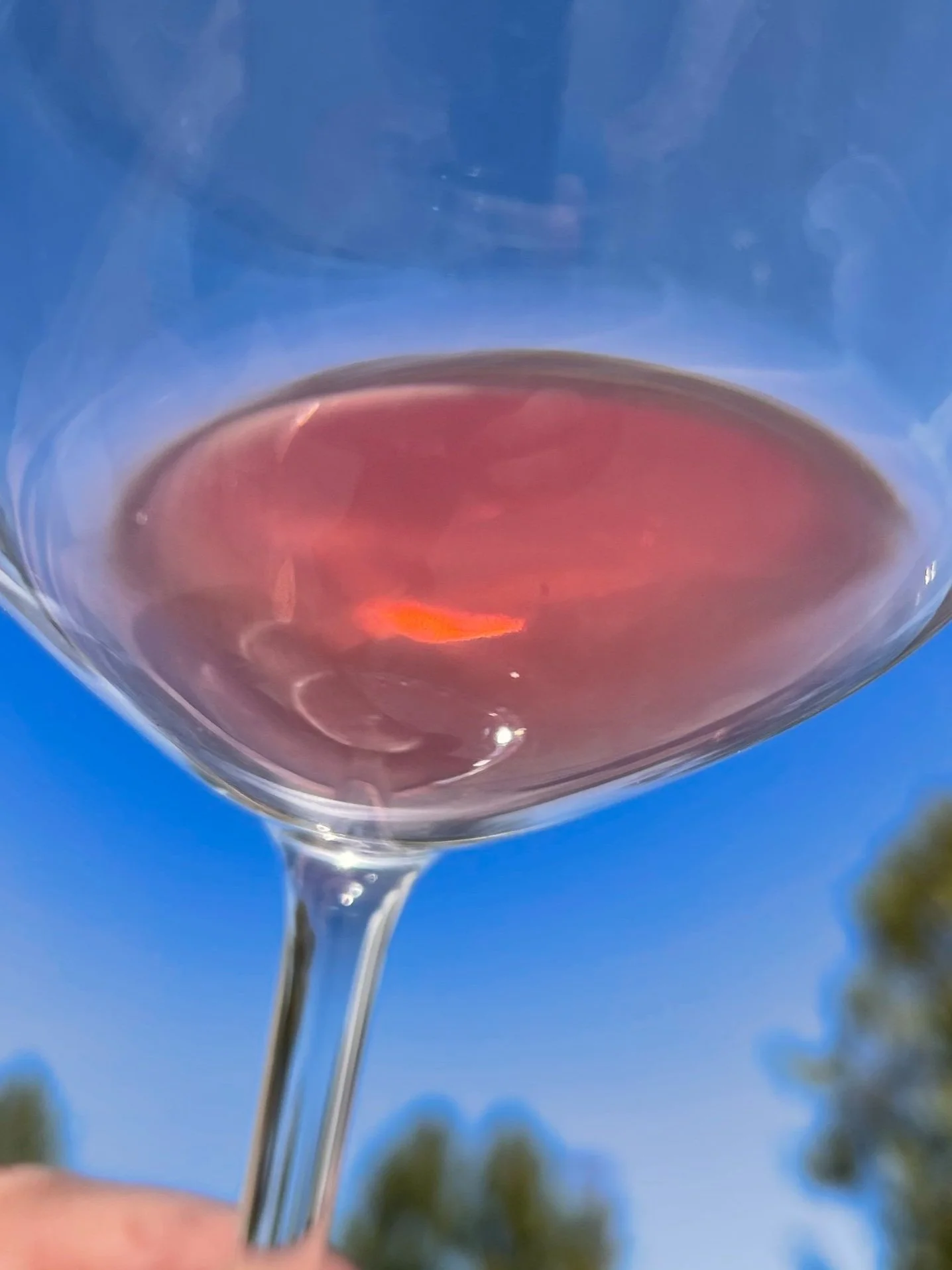 Chenin Blanc — Wine Grapes Direct