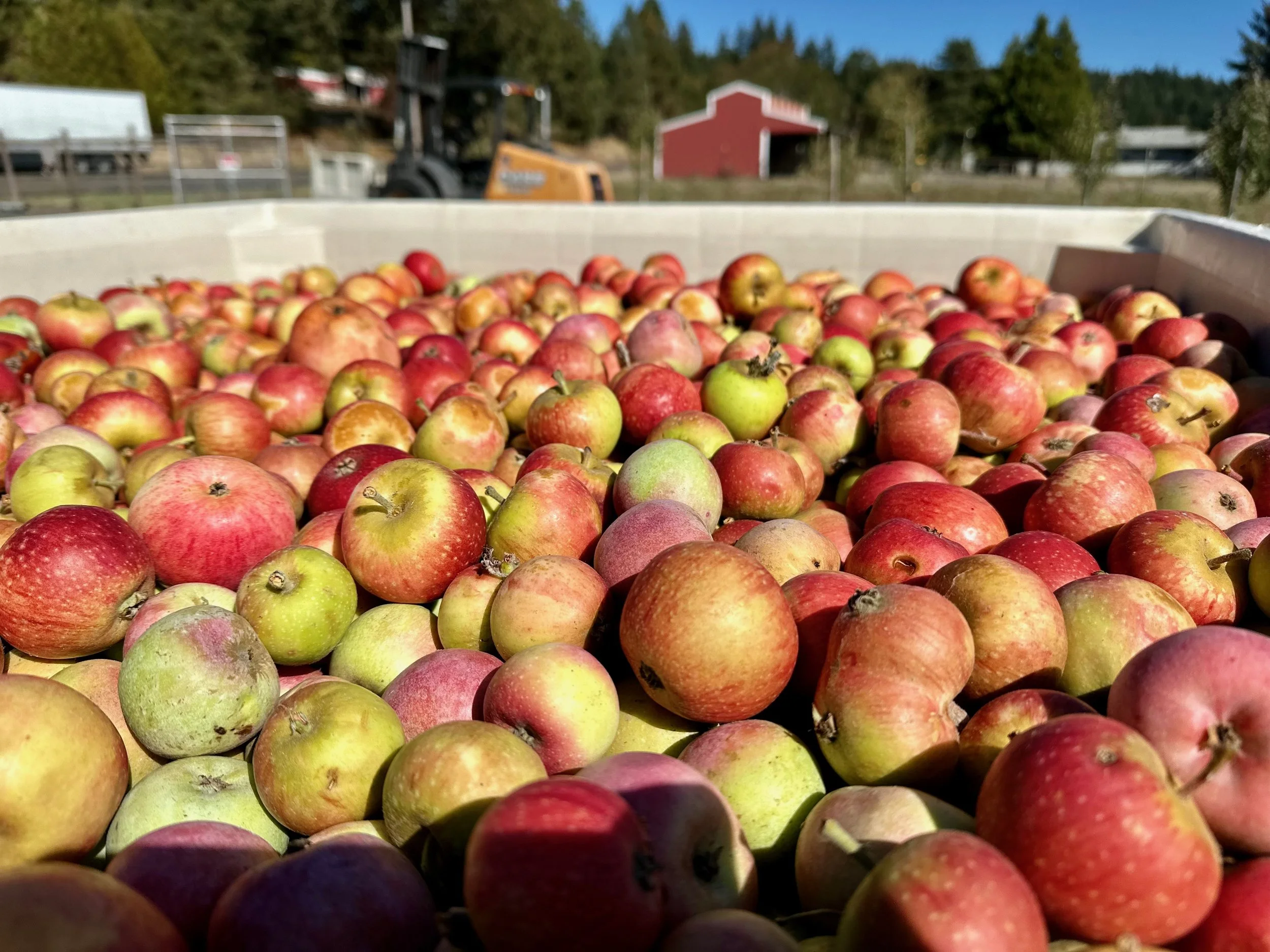 Shop — Wine Grapes Direct