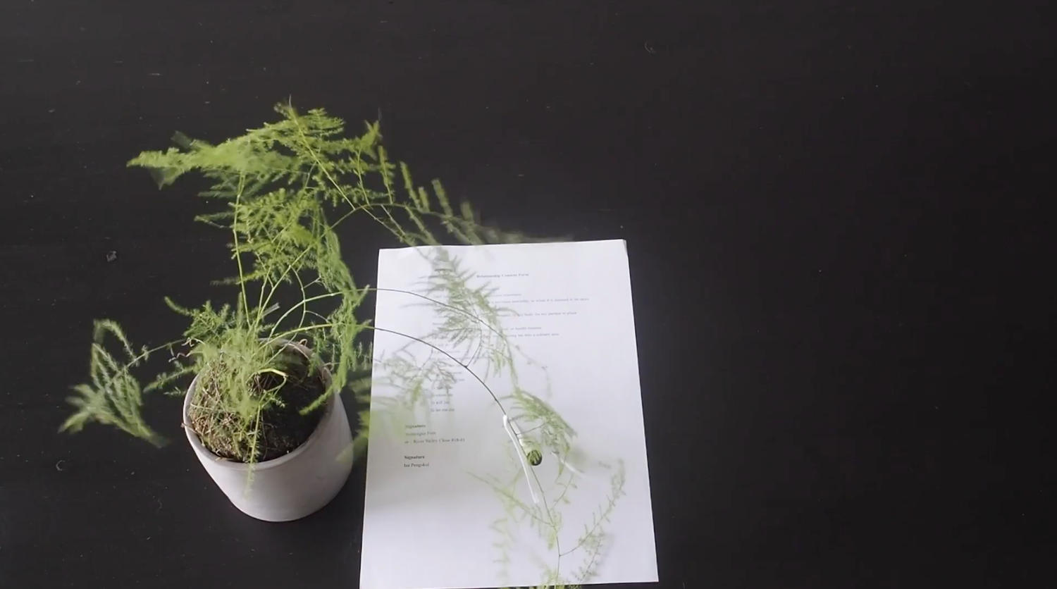 Plant consent — Isa Pengskul