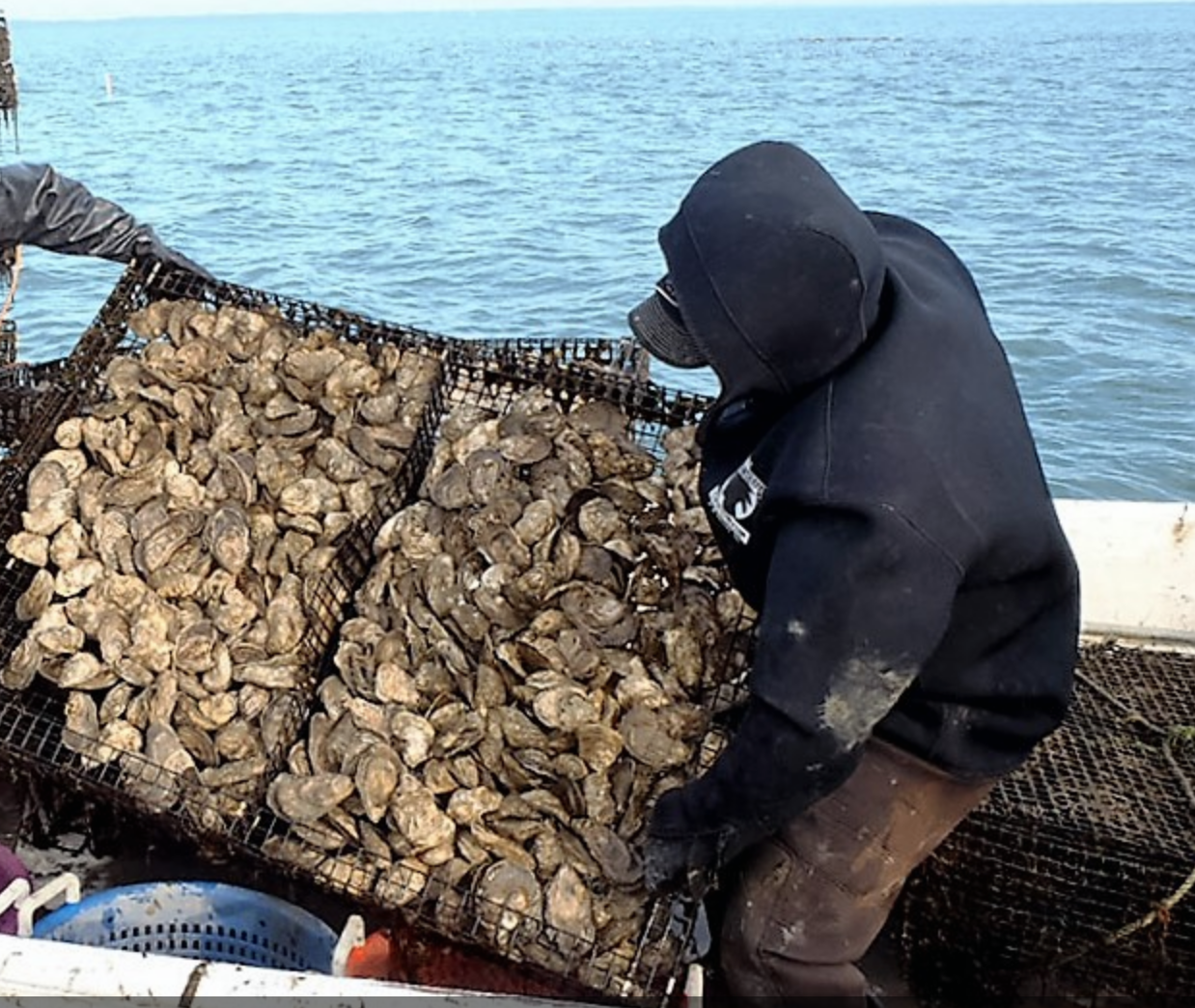 Area Resources — ESVA CHAMBER