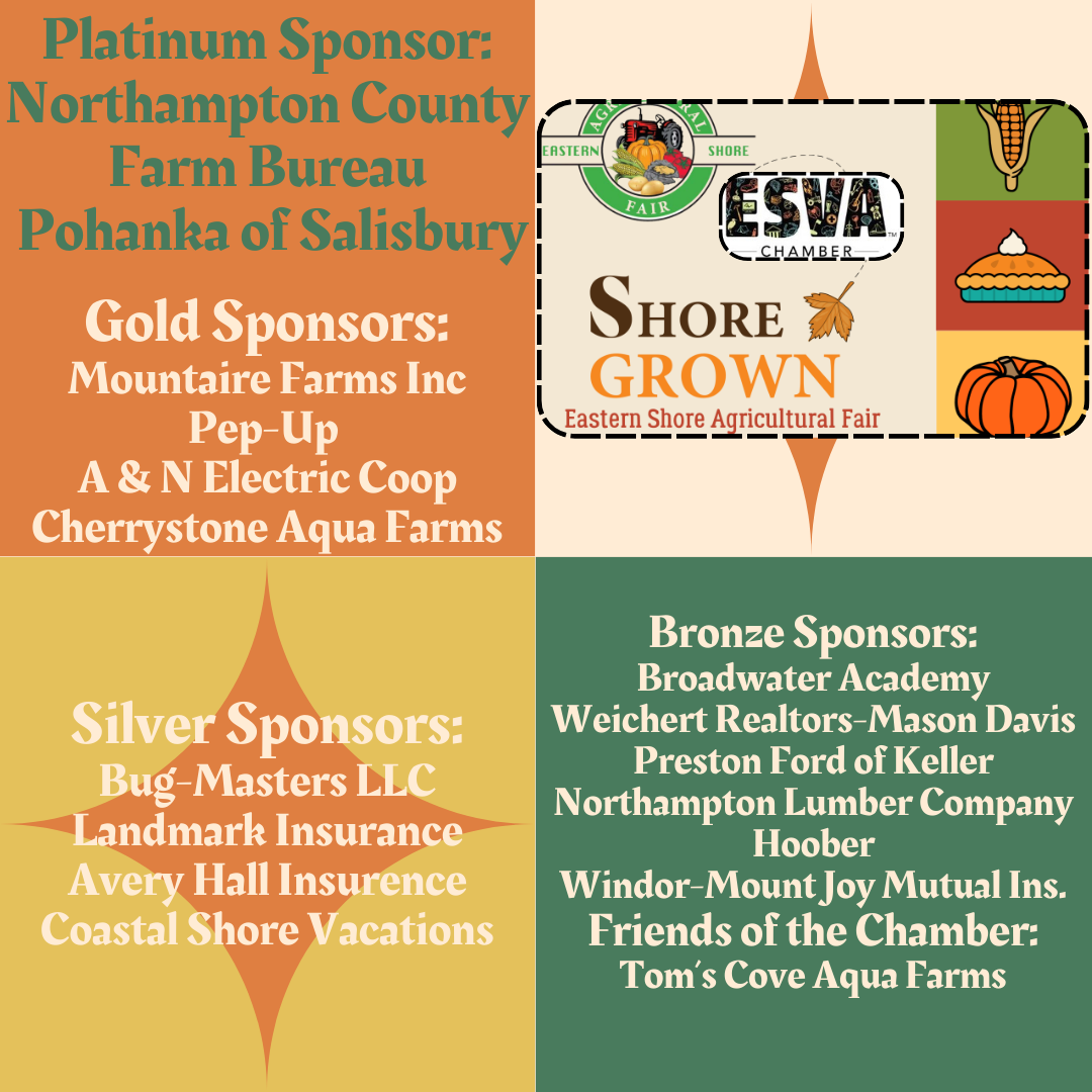 Blog — ESVA CHAMBER