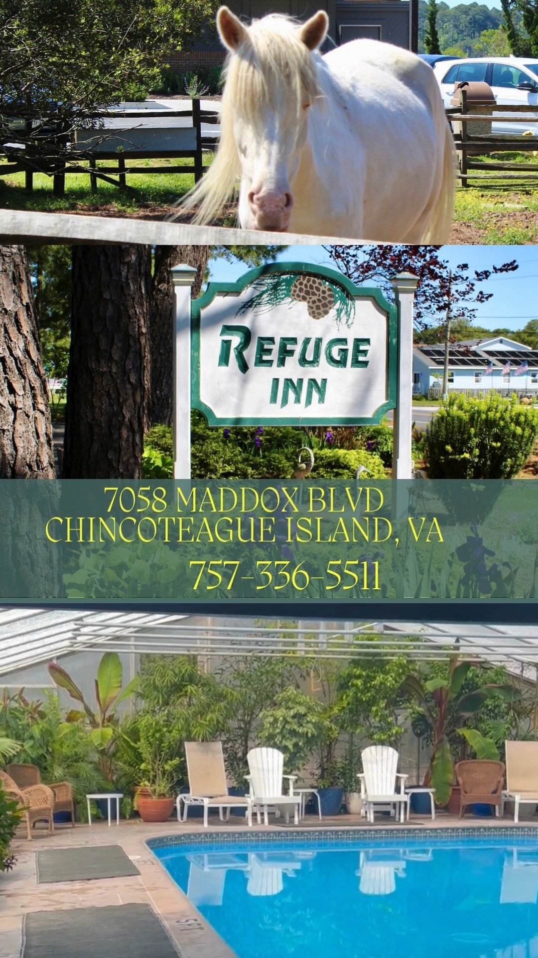 ESVA Agricultural Fair — ESVA CHAMBER