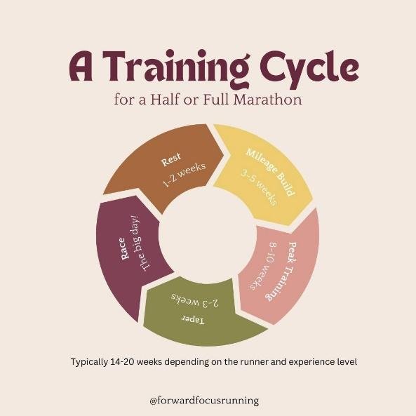 How to Structure a Training Cycle for Half and Full Marathons ...