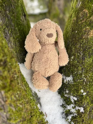 Critter Count 2026 — Craftsbury Outdoor Center